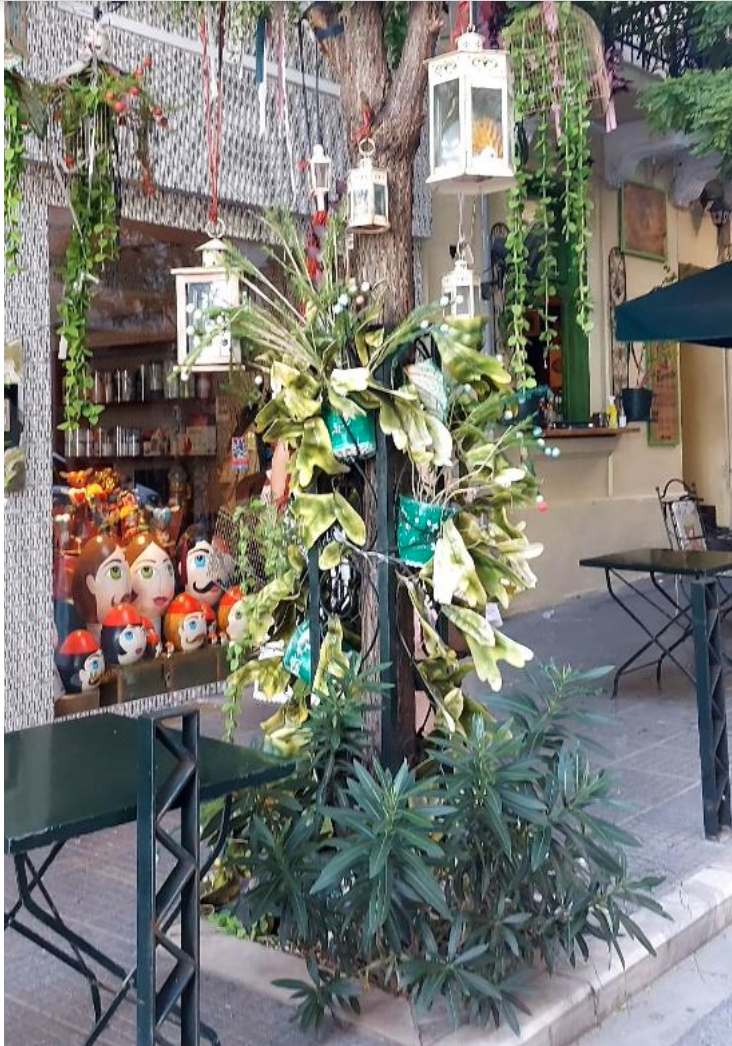 What can we do? My THISAM Story